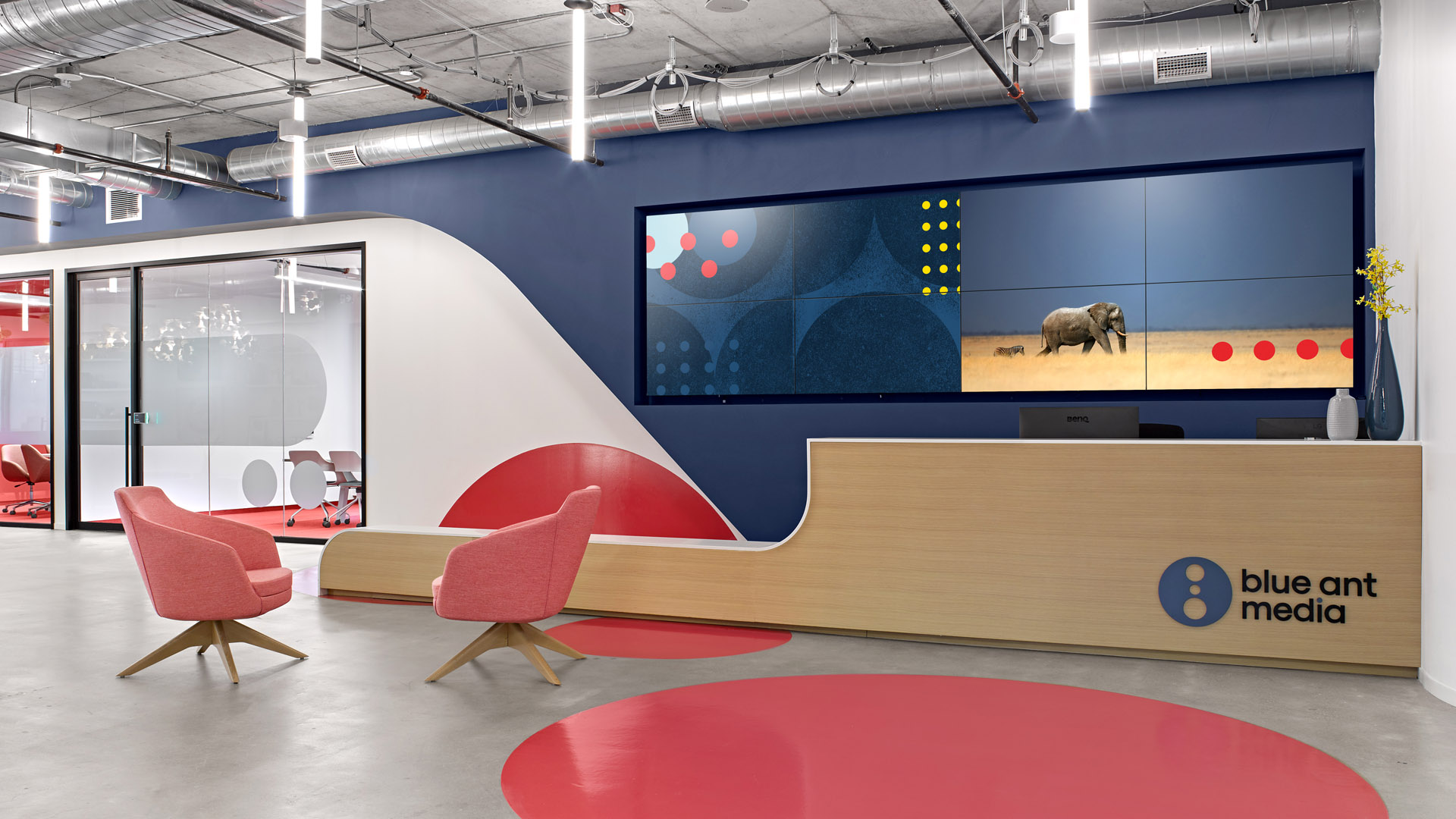 Ray Inc. Homepage - Ray Inc.